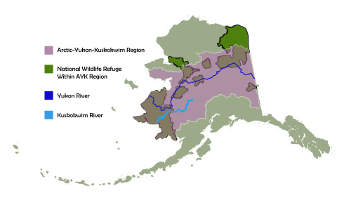 Map of Alaska with AYK, NWRs, and Yukon and Kuskokwim Rivers | FWS.gov